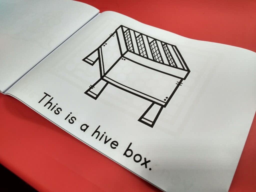 Free Bee Emergent Reader (3 Levels) - The Chatty Kinder