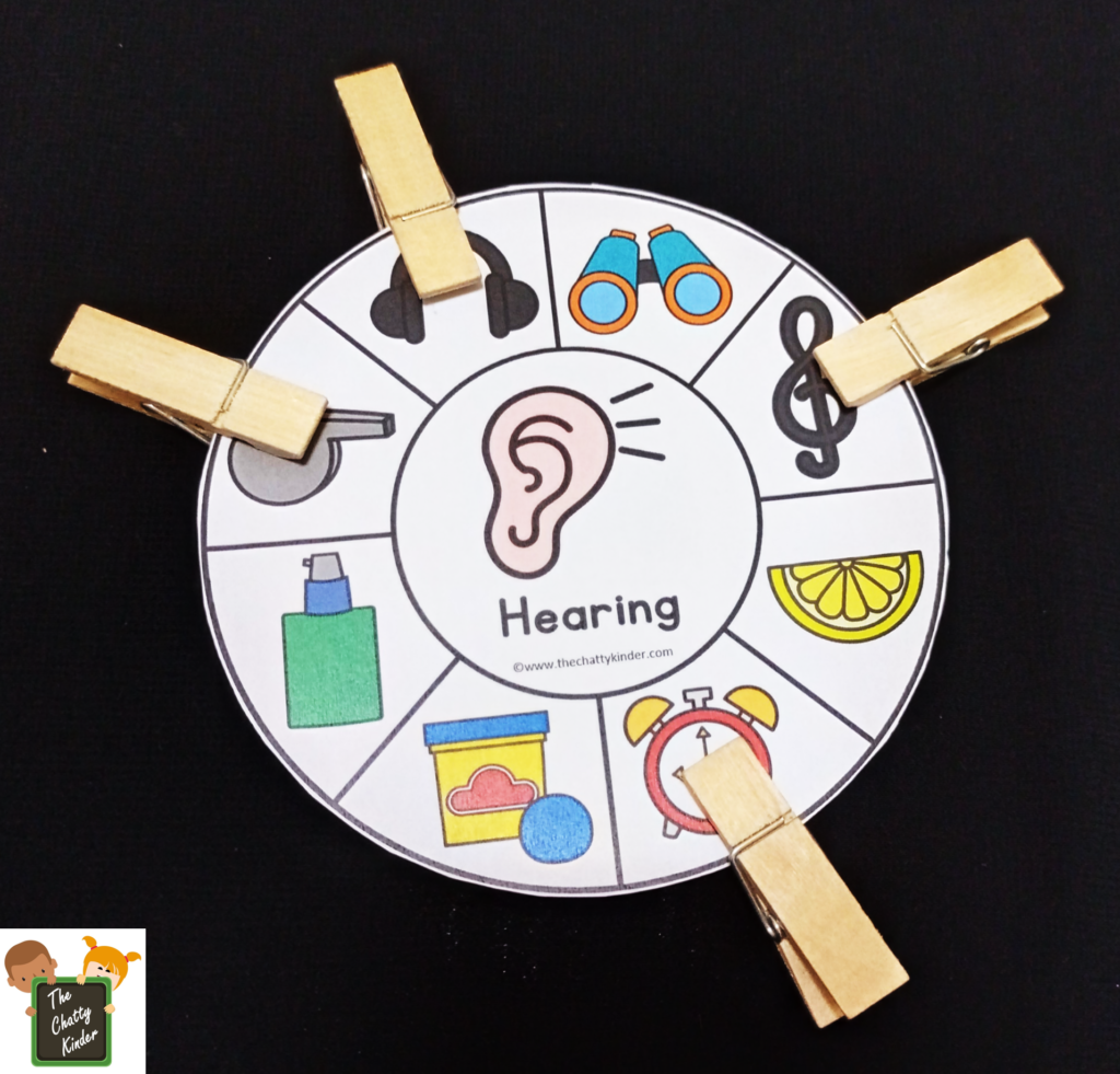 Five Senses Clip Cards - The Chatty Kinder