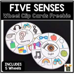 Five Senses Clip Cards - The Chatty Kinder