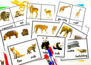 Adult and Baby Animals Activities