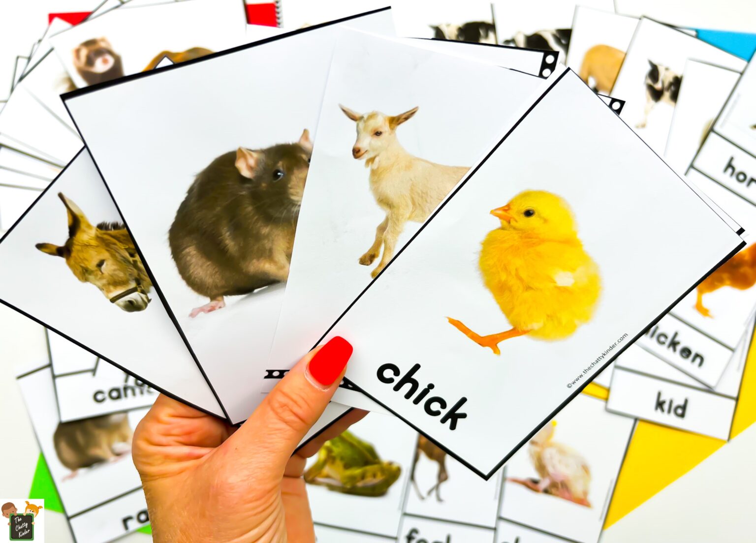 Adult and Baby Animals Activities