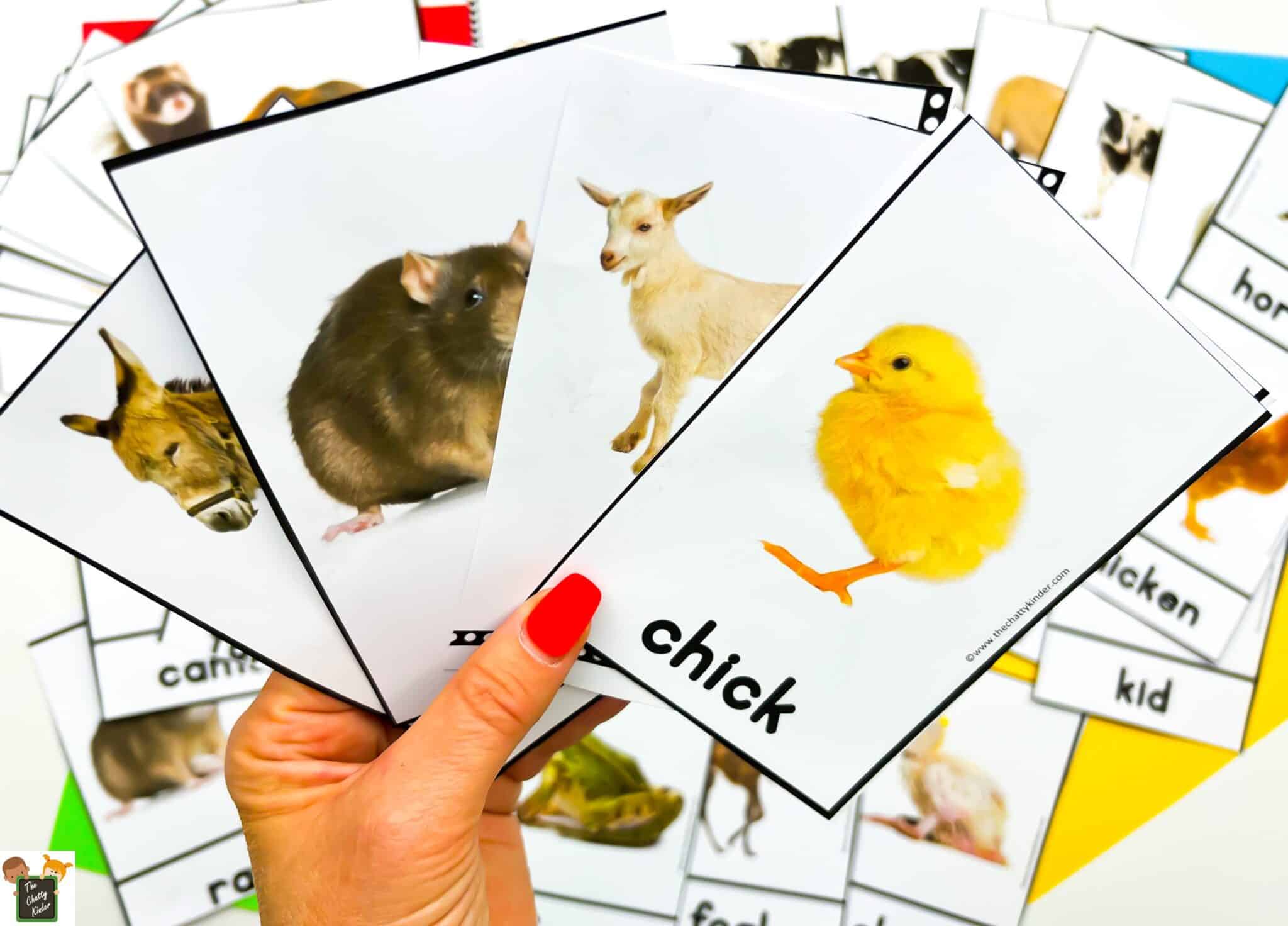 Adult and Baby Animals Activities