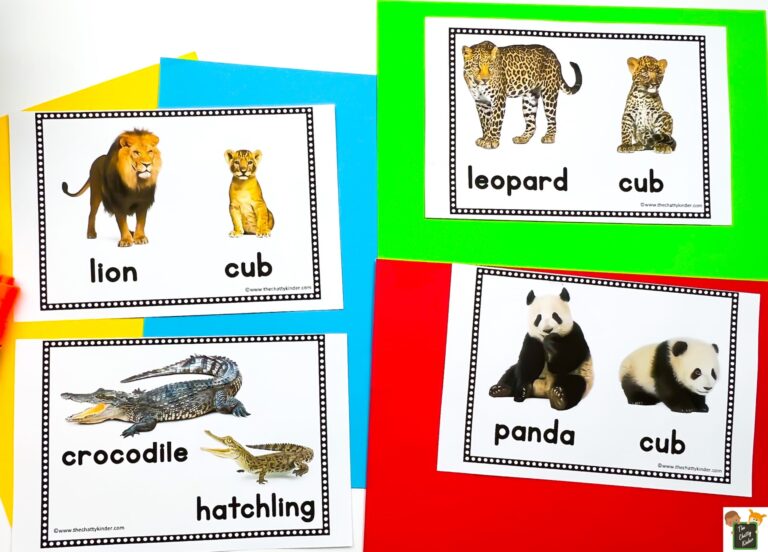 Adult and Baby Animals Activities