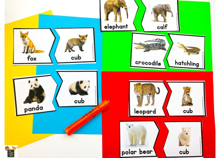 Adult and Baby Animals Activities