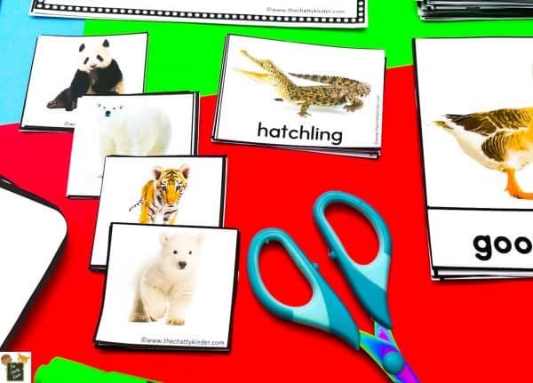 Adult and Baby Animals Activities