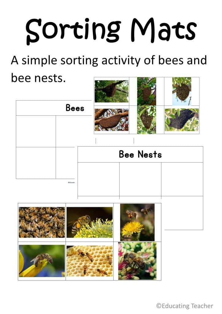 Bees Non Fiction Insect Animal Unit - Kindergarten 1st and 2nd grade ...