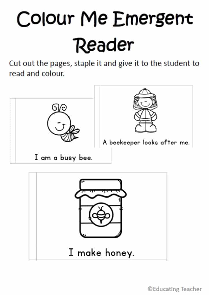 Bees Non Fiction Insect Animal Unit - Kindergarten 1st and 2nd grade ...