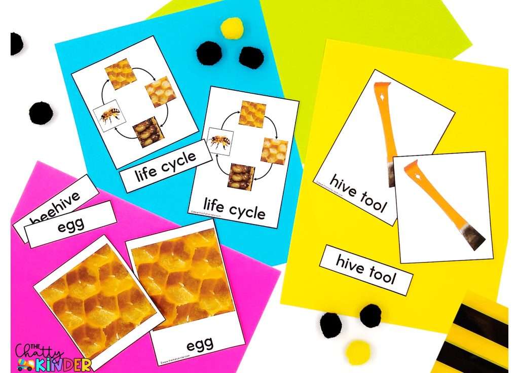 Bees Non-Fiction Insect Animal Unit for Kindergarten to 2nd grade - The ...