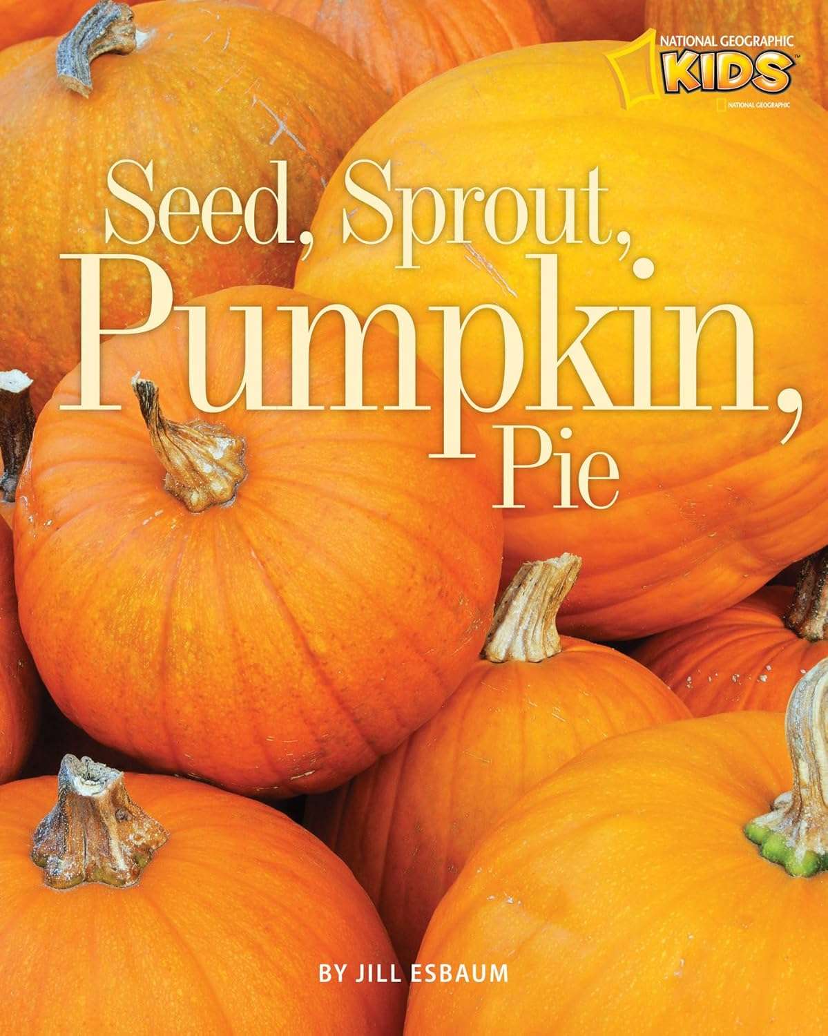 13 Pumpkin Books for Kindergarteners and Pumpkin Craft - The Chatty Kinder