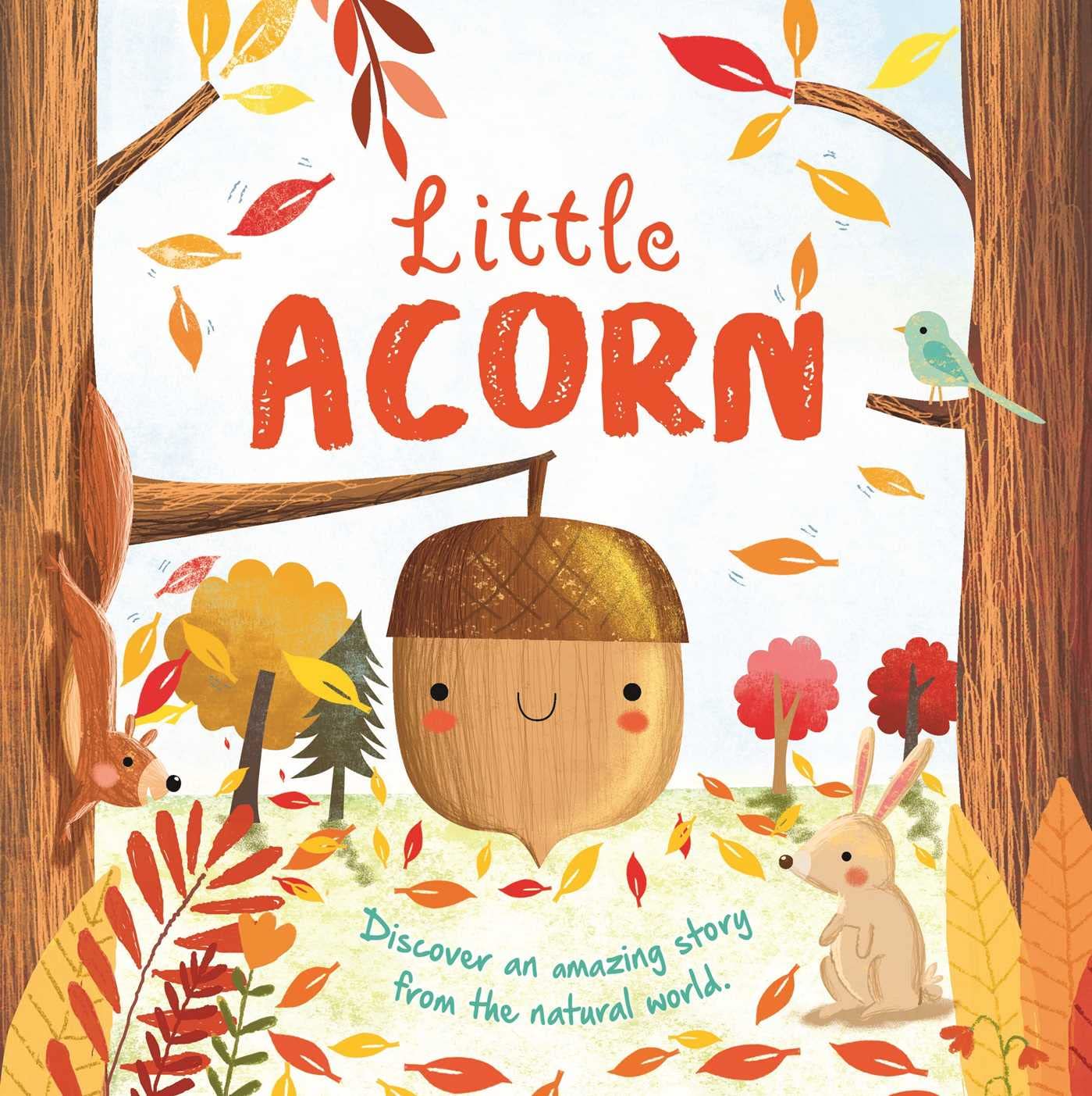 11 Acorn Books & Acorn Crafts for Preschool and Kindergarten - The ...